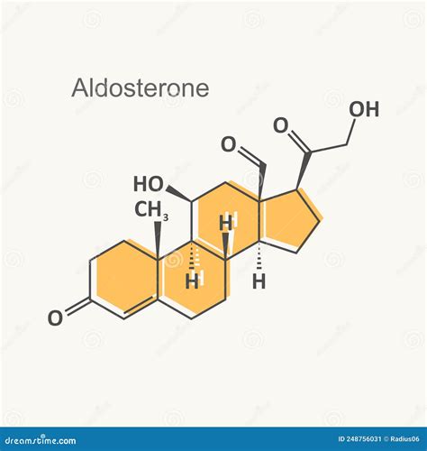Hormona Aldosterona Mineralocorticoide Producida Por La Glándula