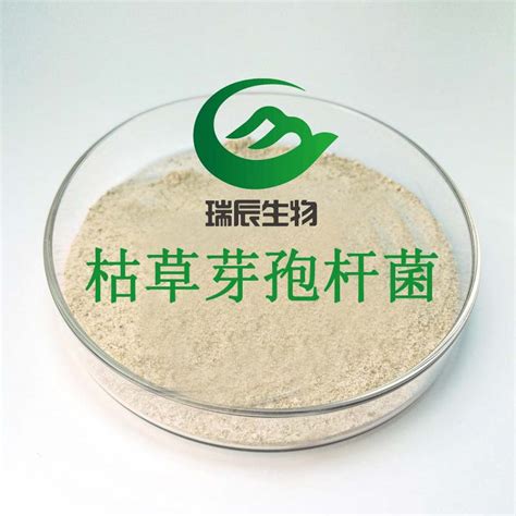 中文简体 产品中心 生物菌种 微生物菌种 酶制剂 潍坊瑞辰生物科技有限公司【官网】
