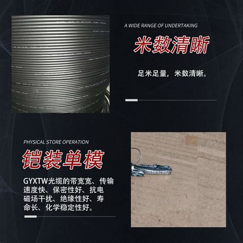 。室外千兆多模光缆4芯光纤线6芯8芯12芯24芯gyxtw铠装光缆户外双虎窝淘