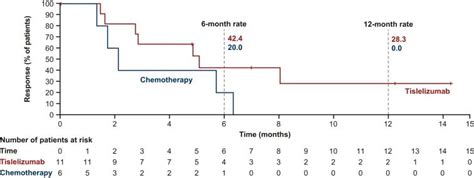 中国首款自研的pd 1抑制剂替雷利珠单抗注射液百泽安tevimbratislelizumab Injection获美国fda批准上市