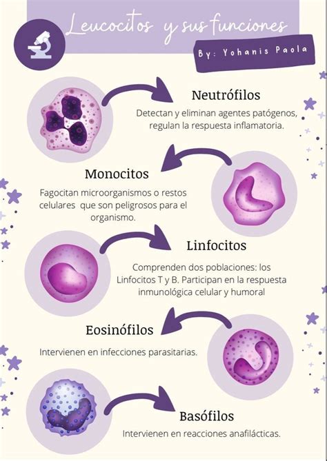 Pin By Alexia Velasco On Respuesta Inmune Vet Medicine Medicine