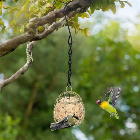 Qinghuai Metal Bird Feeder For Outdoor Hanging Wild Bird Feeder Guard