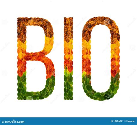 Word Bio Written With Leaves White Isolated Background Banner For