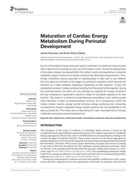 Pdf Maturation Of Cardiac Energy Metabolism During Perinatal Development