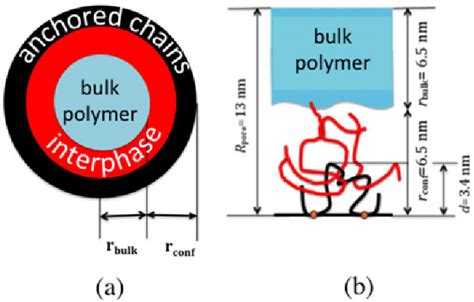 Schematic Representation Of The Surface Induced Entanglements In The