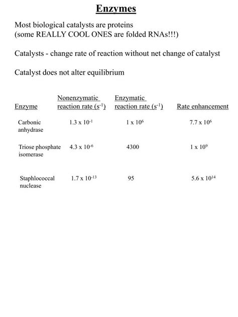 Ppt Enzymes Powerpoint Presentation Free Download Id4042669