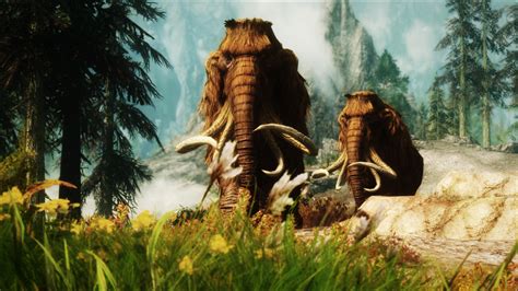 Wallpaper Wildlife Jungle Mythology Enb Art Fauna Screenshot