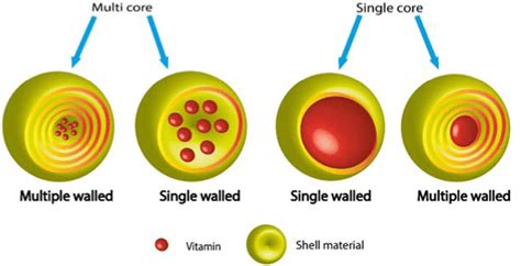 Microencapsulation Of Vitamins