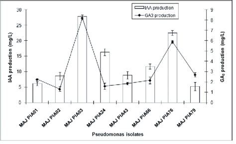 Production Of Iaa And Ga3 Mgl By Pseudomonas Isolates Download