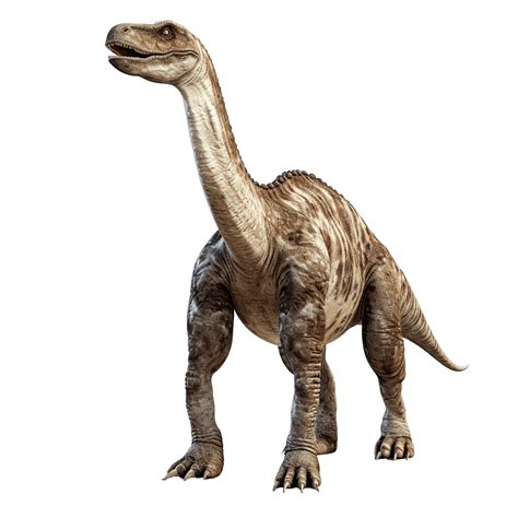 Brochiosaurus Dinosaur Prehistoric Animal Dinosaur Animal Reptile