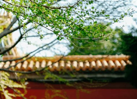 立春钱穆先生冬去春来欣欣向荣此中有信仰有希望有启示 中国 文化 历史