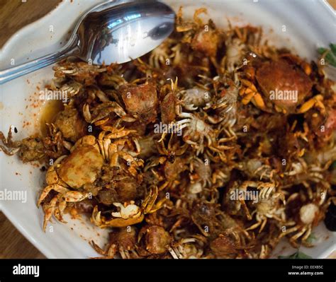People Prepare Cicadas During A Party To Cook And Eat The Insects At A