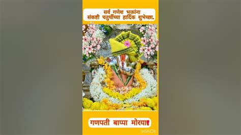 🌺सर्व गणेश भक्तांना संकष्टी चतुर्थीच्या हार्दिक शुभेच्छा 🌺shots