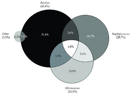 Microbial Contamination Observed In The Samples Taken From The Staff
