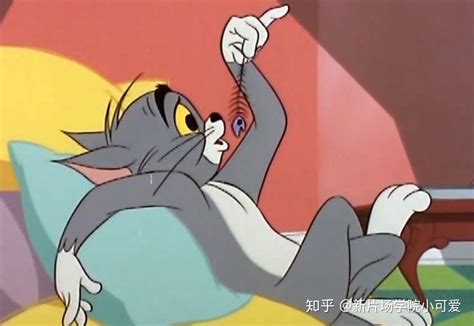 干货丨如何制作《猫和老鼠》那样生动的动画 知乎 干货丨如何制作《猫和老鼠》那样生动的动画 知乎