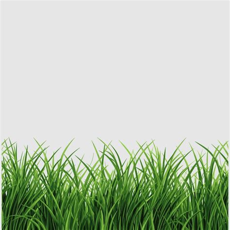 Premium Vector Grass Vector For Your Design