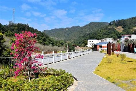 汕尾陆河世外梅园景区 梅园 流沙梅园 大山谷图库