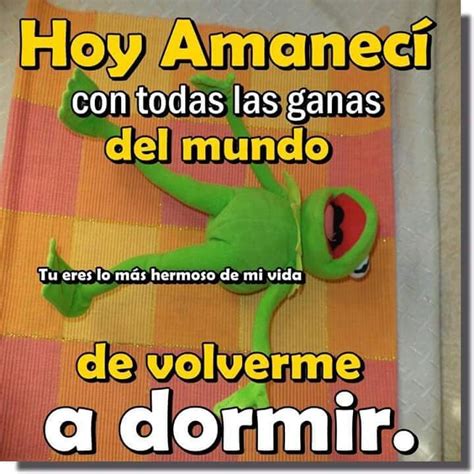 Pin de Paola Lara en memes y chistes Buenos días Chiste meme Hoy