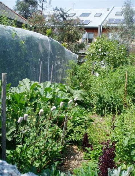 The Farmer Next Door Renew