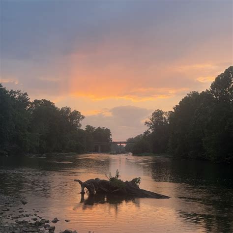 Daniel Greenfield Youtube