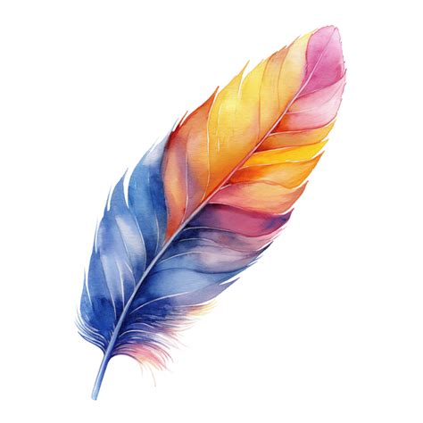 Watercolor Feather Pngs For Free Download