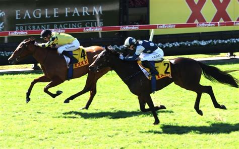 Highway A Kosciuszko Audition For Without Parallel