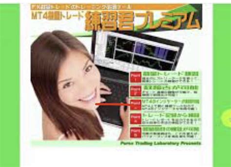 【未使用】裁量トレード練習君プレミアム バージョンアップ版 Ver60 本体ツールpdfマニュアルmp3音声裁量トレードの練習が