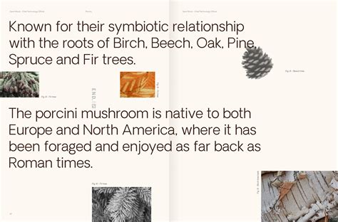 End X Salomon Part 2 Jaywing