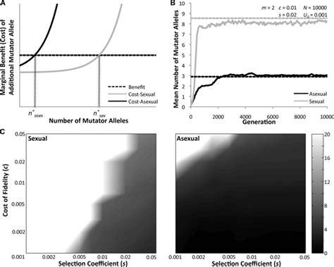 Evolutionary Feedbacks Between Reproductive Mode And Mutation Rate