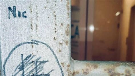 Scritte Fasciste E Svastiche Sui Muri Della Villa