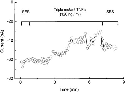 Effect Of Triple Mutant Tnf On Na Current In An A549 Cell Patched In Download Scientific