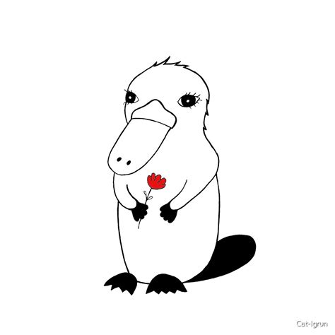 Adorable Platypus By Cat Igrun Redbubble