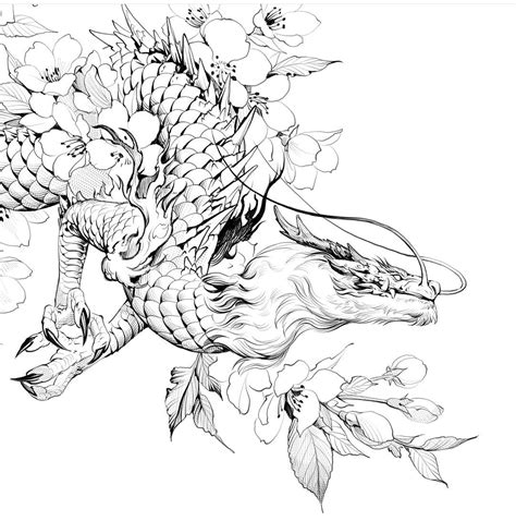 Western Dragon Drawing
