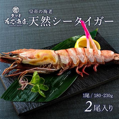 天然シータイガー 2尾 1尾 180〜230g 皇帝の海老 天然 ブラックタイガー 特大サイズ えび エビ 海老 海鮮 年末年始 お歳暮