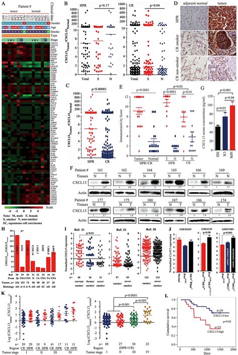 The Chemokine Cxcl13 In Lung Cancers Associated With Environmental