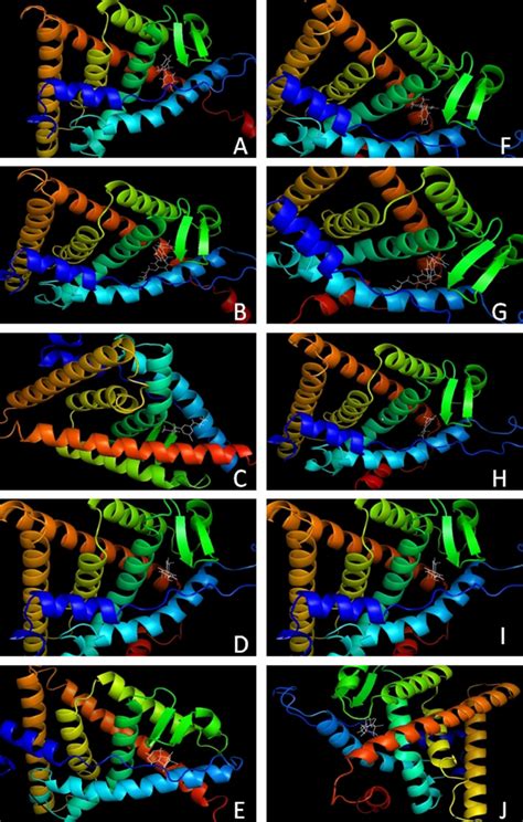 3 D Pymol Representation Of Docked Molecules In Cartons Models A E