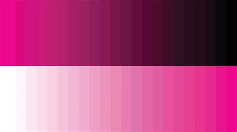 Color Palette Pink 16853046 Vector Art At Vecteezy
