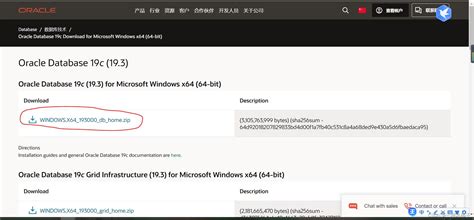 Oracle19c客户端安装与配置 Csdn博客