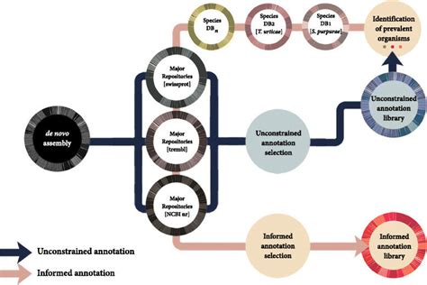 Schematic Approach Unconstrained And Informed Metatranscriptomic