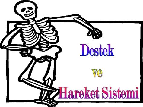 Destek ve Hareket Sisteminin Sağlığını Korumak İçin Ne Yapmalıyız