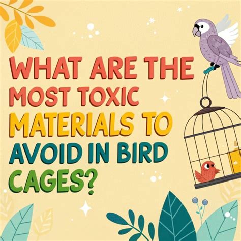 What Are The Most Toxic Materials To Avoid In Bird Cages A