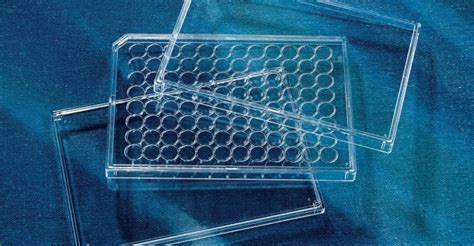 Microplate Equipment And Products Corning