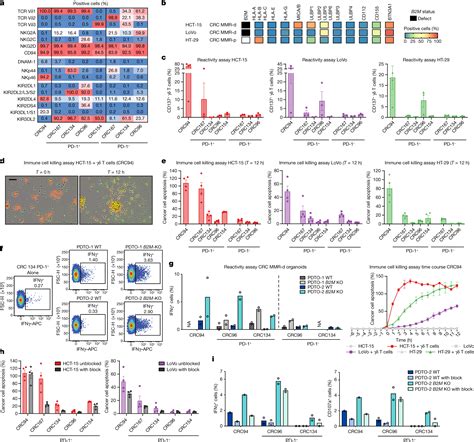 Matlab 如何使用matlab获取顶刊《nature》全部绘图 附带近3年全部图像