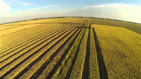China Has Found A Way To Turn Deserts Into Forests Youtube