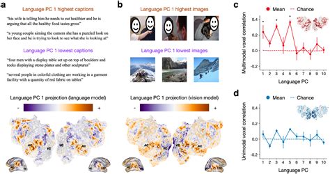 Brain Encoding Models Based On Multimodal Transformers Can Transfer Across Language And Vision Pmc