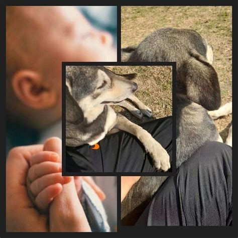 Mahak Khatri On Linkedin Unconditionalove Like Followyourheart