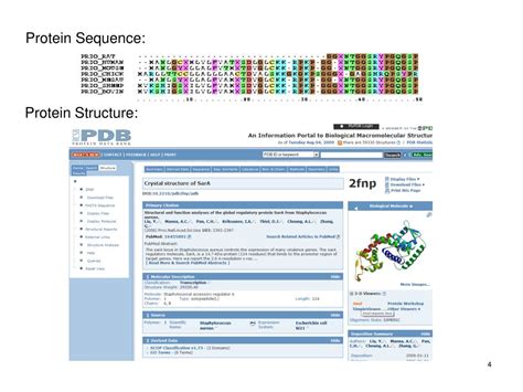Ppt Predicting Protein Function Annotation Using Protein Protein Interaction Networks