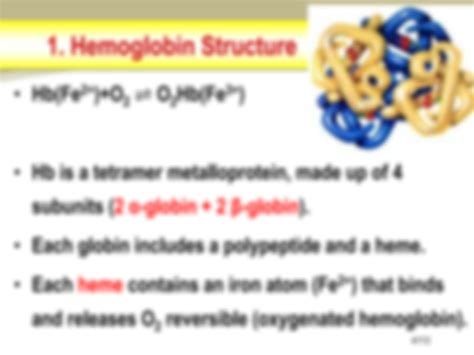 Solution Hemoglobinopathy What Is Hemoglobin Sructurewh What Is Hemoglobin Gene Ontogeny Of