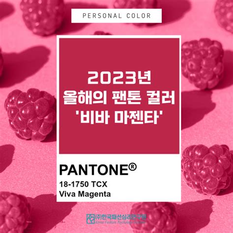 2023년 올해의 팬톤컬러 비바마젠타 퍼스널컬러 네이버 블로그