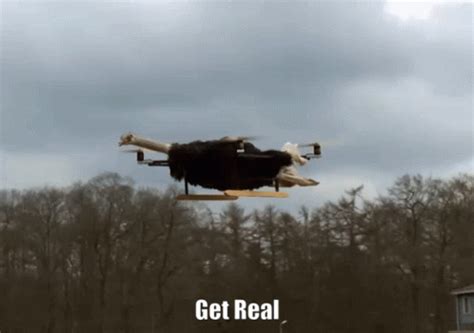 Drone GIFs GIFDB Com